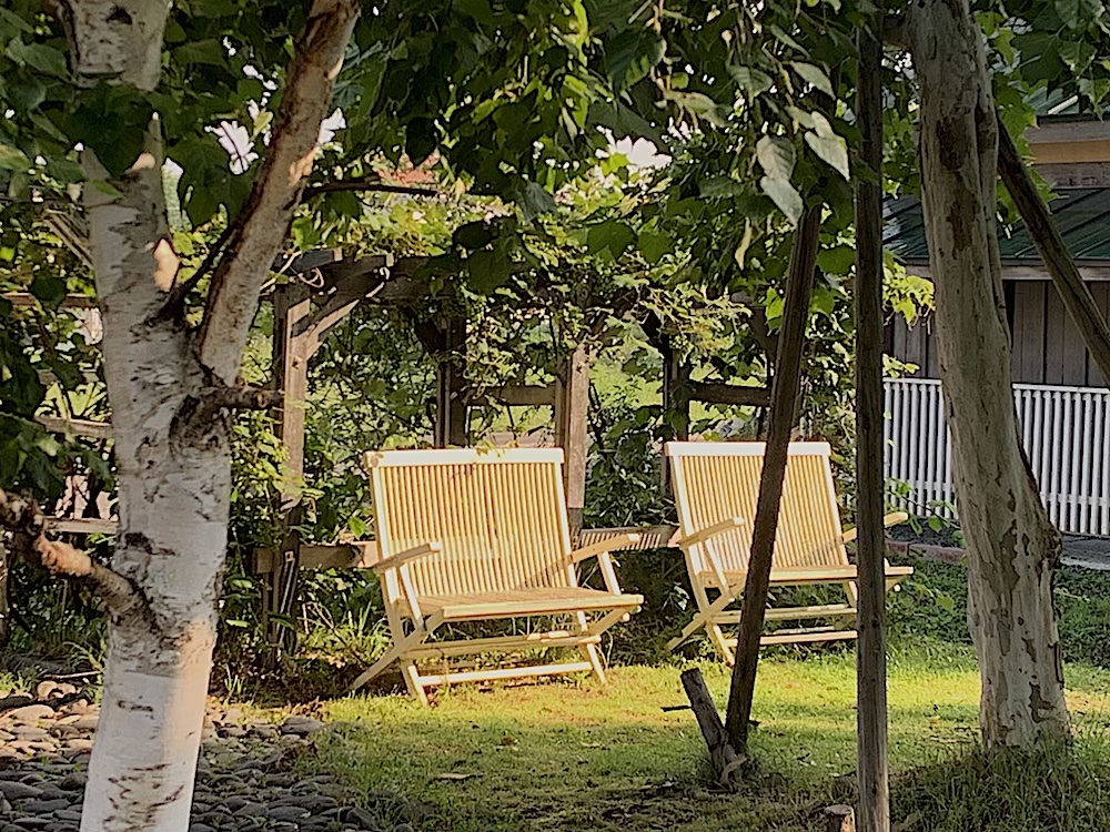 2023年8月号 – GOSH NEWS Vol.249 – GOSH – 自家焙煎珈琲店｜北海道・美瑛