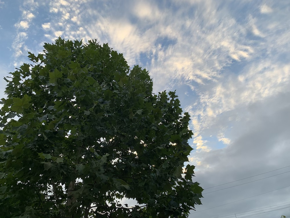 2023年9月号 – GOSH NEWS Vol.250 – GOSH – 自家焙煎珈琲店｜北海道・美瑛