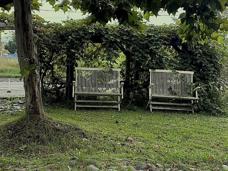 2025年9月号 – GOSH NEWS Vol.276 – GOSH – 自家焙煎珈琲店｜北海道・美瑛